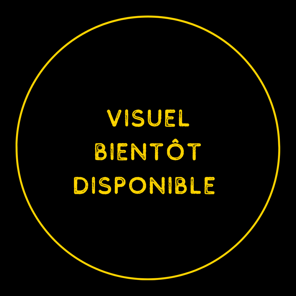 Rencontres et Dédicaces / Librairie Bulle